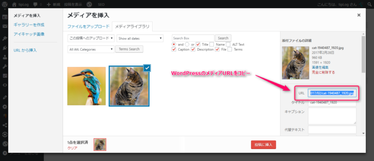 WordPressでも簡単に使えるってほんと？会話風吹き出しのCSSテンプレート | tipLog – kimama blog